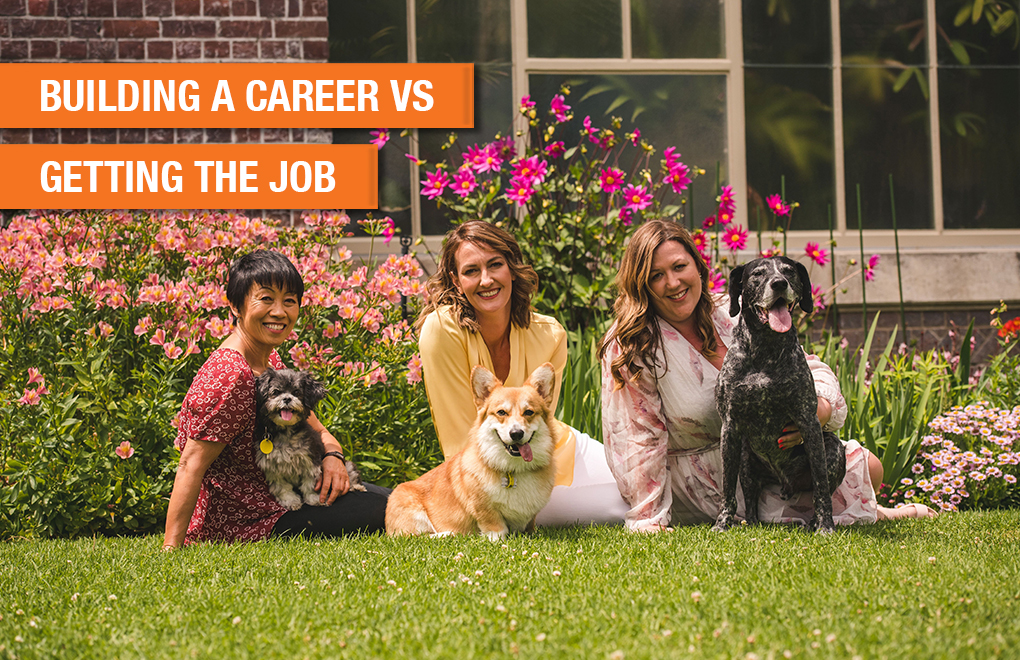 Building your career means more than just landing the job